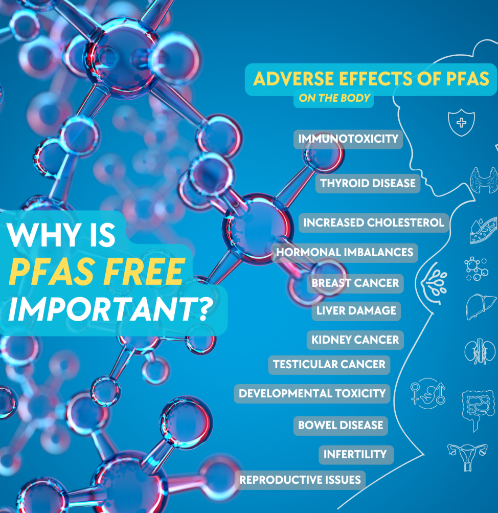 PFAS in Clothing, What to Know Before You Shop – Losano